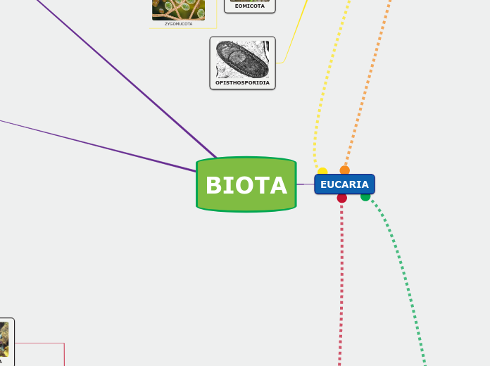BIOTA - Mind Map